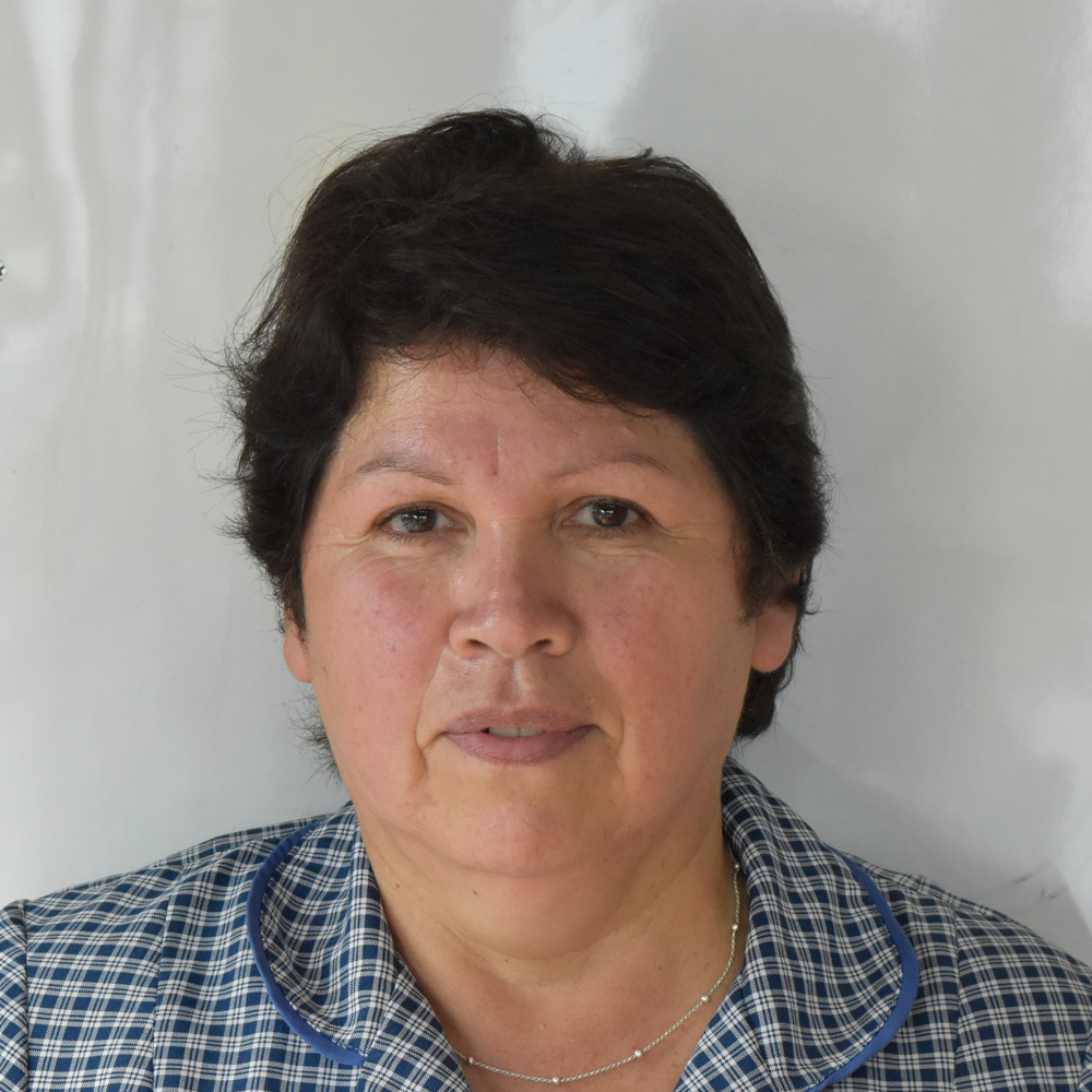 Auxiliar de Servicios